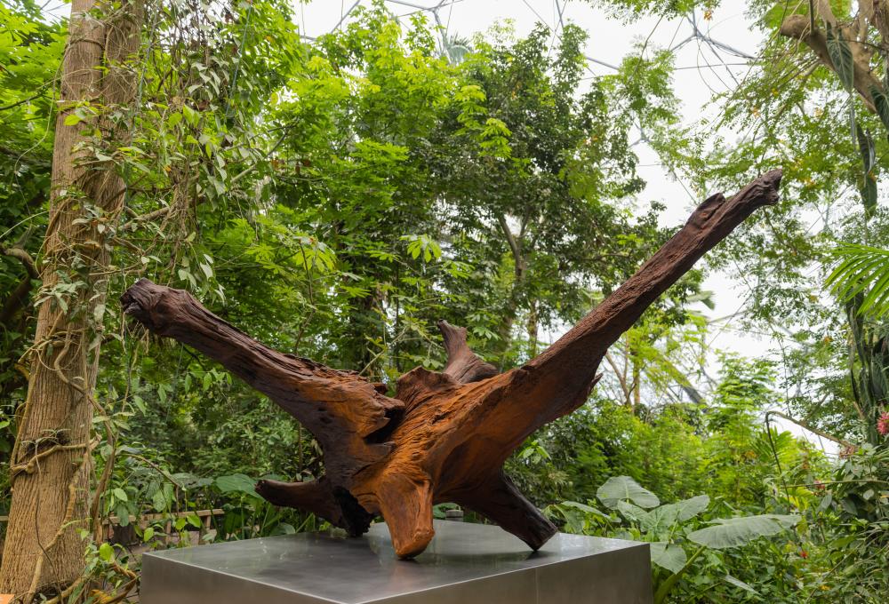 Art guide and map | Eden Project