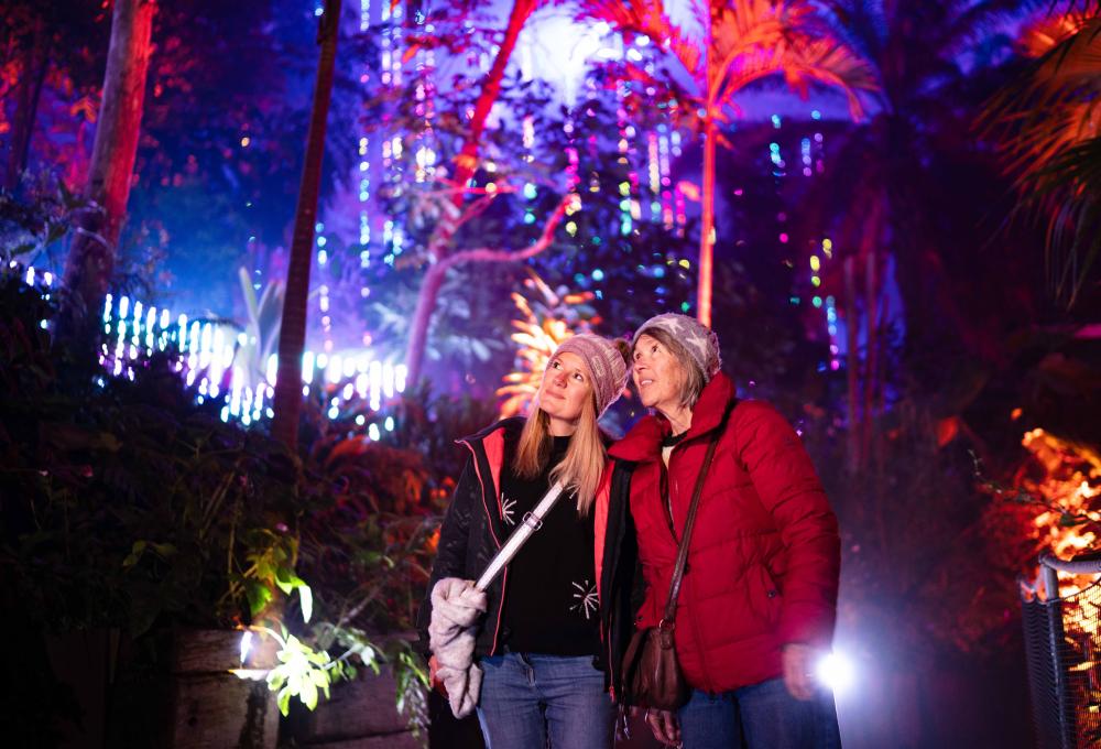 Christmas at the Eden Project | Eden Project