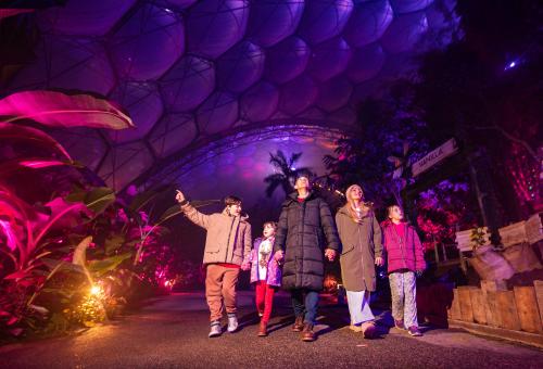 Christmas at the Eden Project | Eden Project